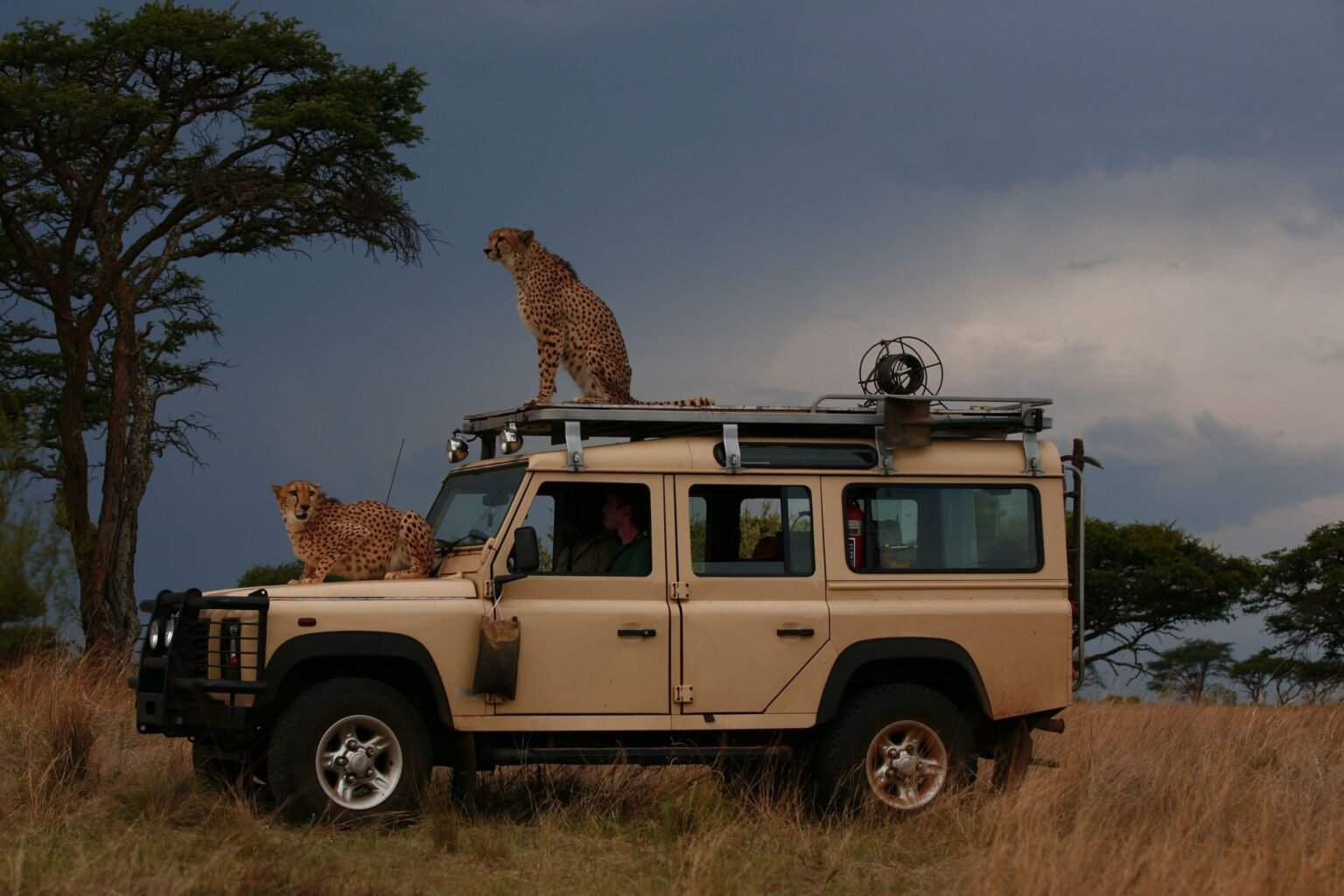 Luxury Handmade Classic Land Rovers | Royal Street Rovers